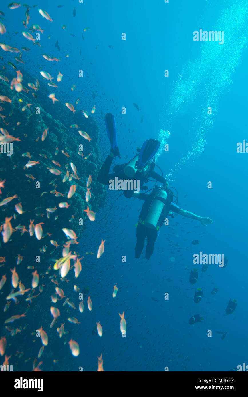 handicapped disabled leg less scuba diver on the reef background Stock ...