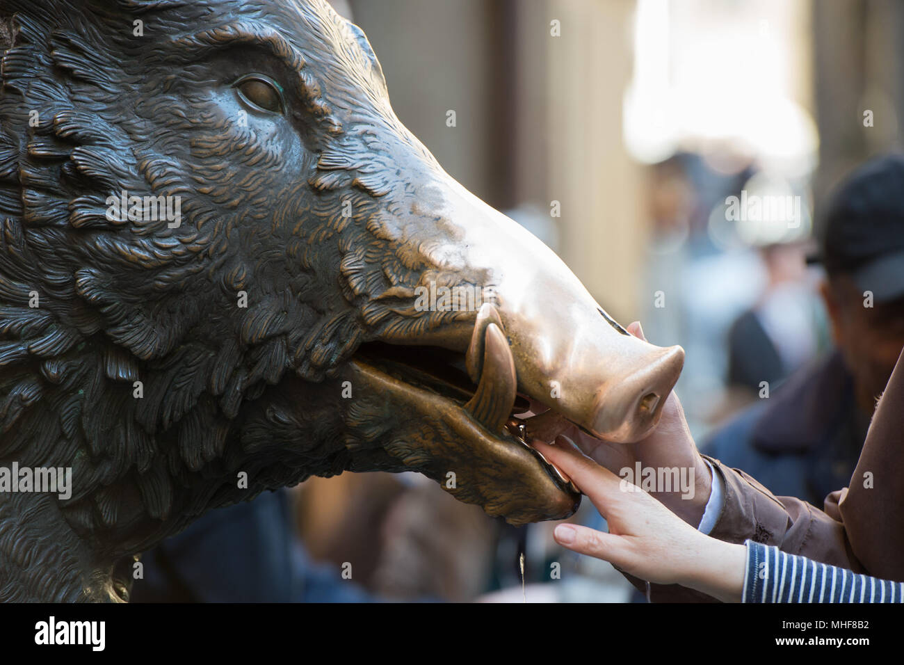 Detail of Hand touching good luck copper pig statue in Florence Stock ...