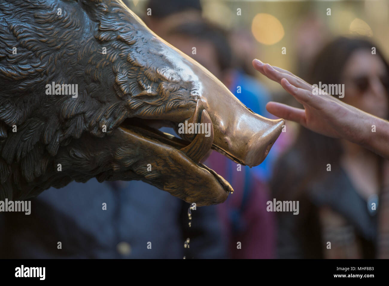 Detail of Hand touching good luck copper pig statue in Florence Stock ...