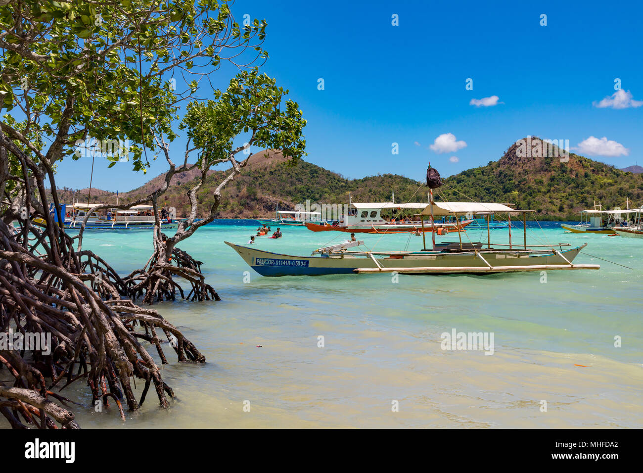 Coron Palawan Philippines April 12, 2018 Mangroves at CYC beach Stock ...