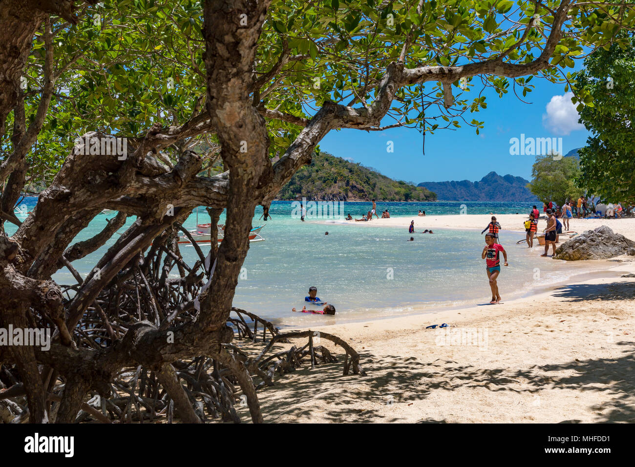 Coron Palawan Philippines April 12, 2018 Mangroves at CYC beach Stock ...
