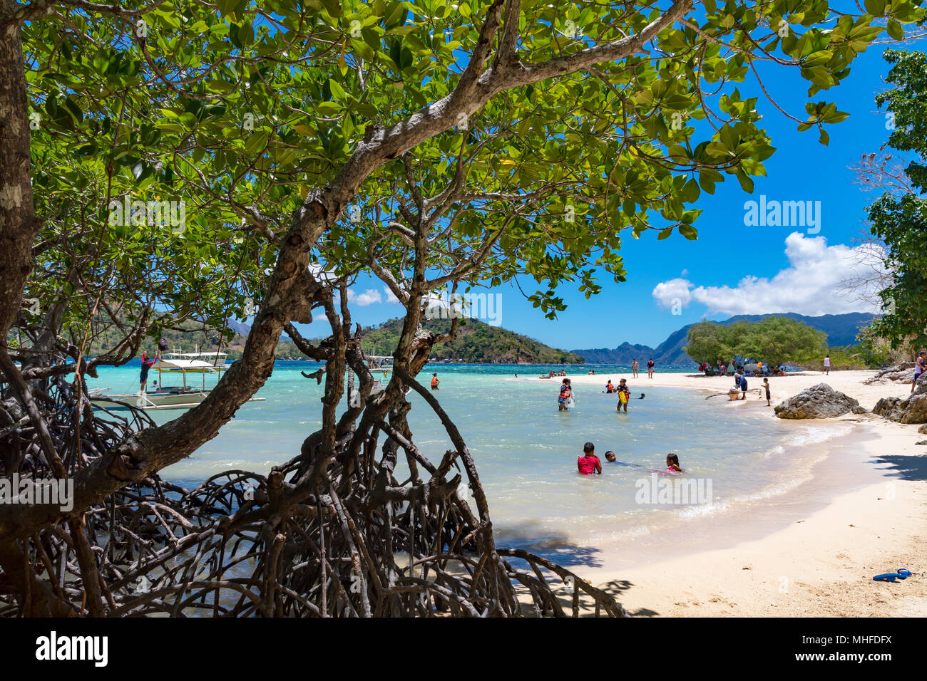 Coron Palawan Philippines April 12, 2018 Mangroves at CYC beach Stock ...