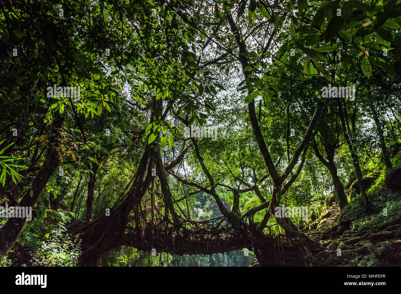 North East India Village High Resolution Stock Photography and Images ...