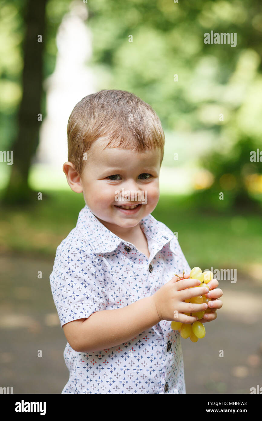 Cute boy eating grapes outdoors. Little boy holding wine grapes ...
