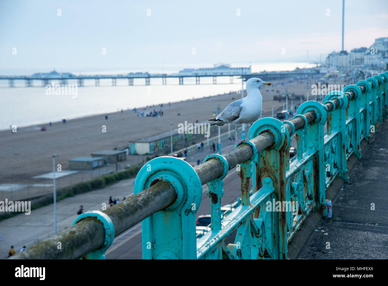 Street light bird uk dusk hi-res stock photography and images - Alamy