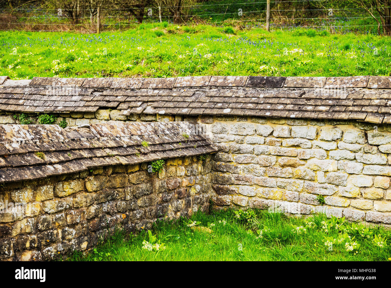 Chedworth Roman Villa is a Roman villa located near Chedworth ...
