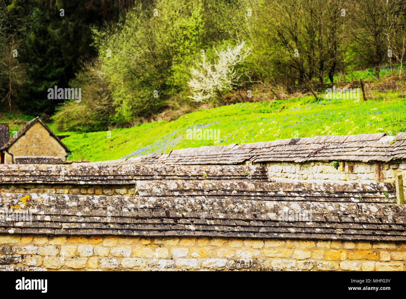 Chedworth Roman Villa is a Roman villa located near Chedworth ...