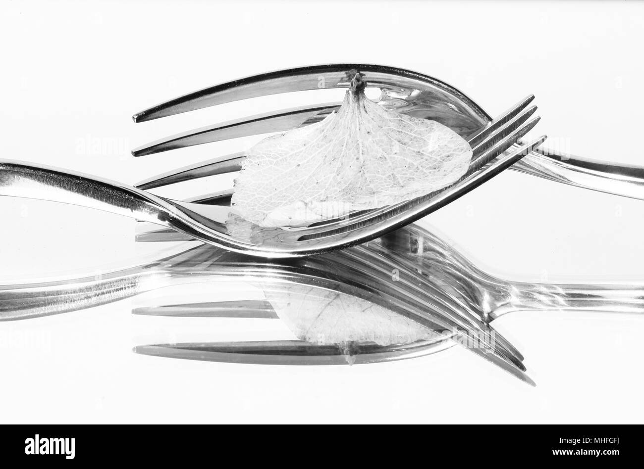 Captivating nature Black and White Stock Photos & Images - Alamy