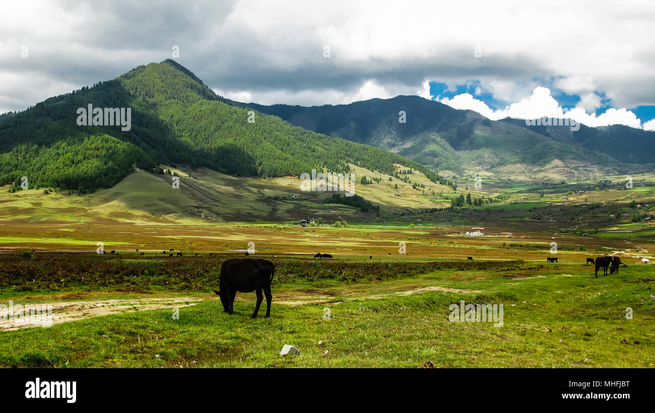 Landscape of mountain Phobjikha valley, Himalayas, Bhutan Stock Photo ...