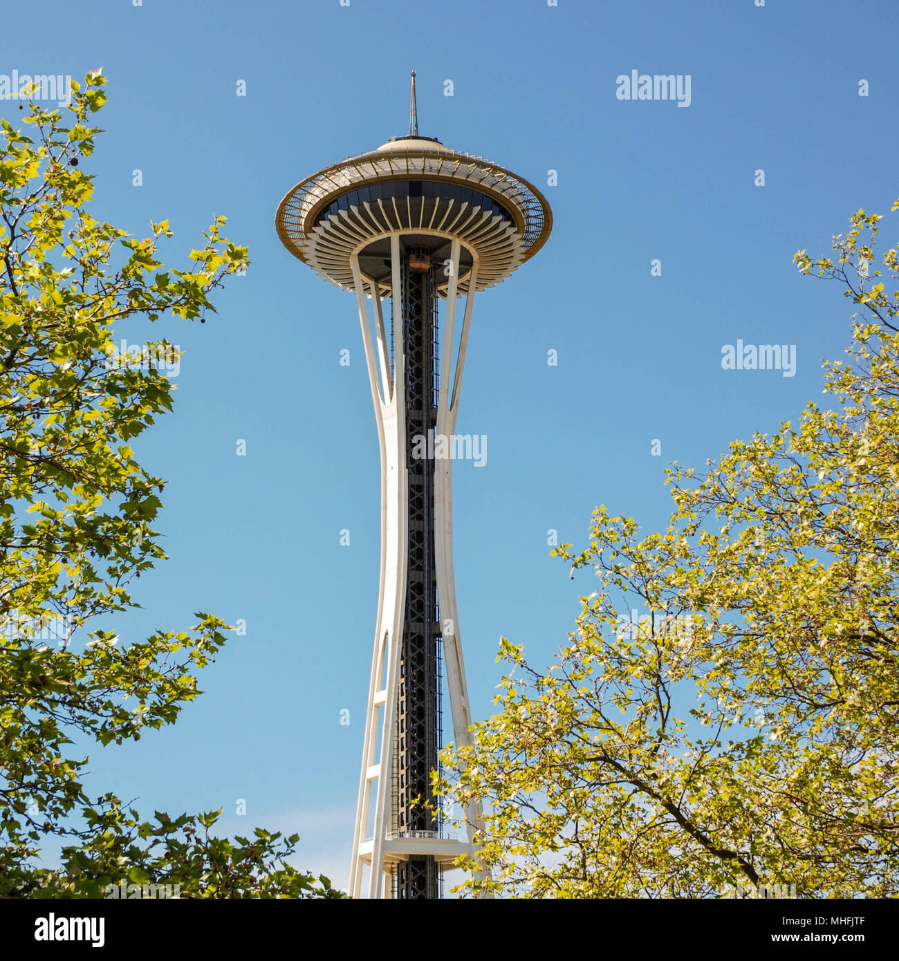 The Space Needle in Seatlle Stock Photo - Alamy