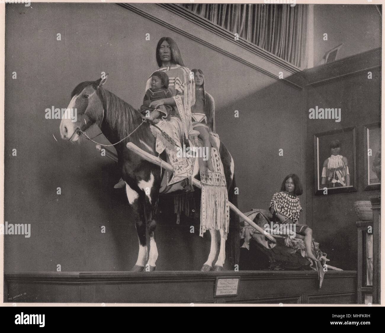 What Do Nomad S Look Like