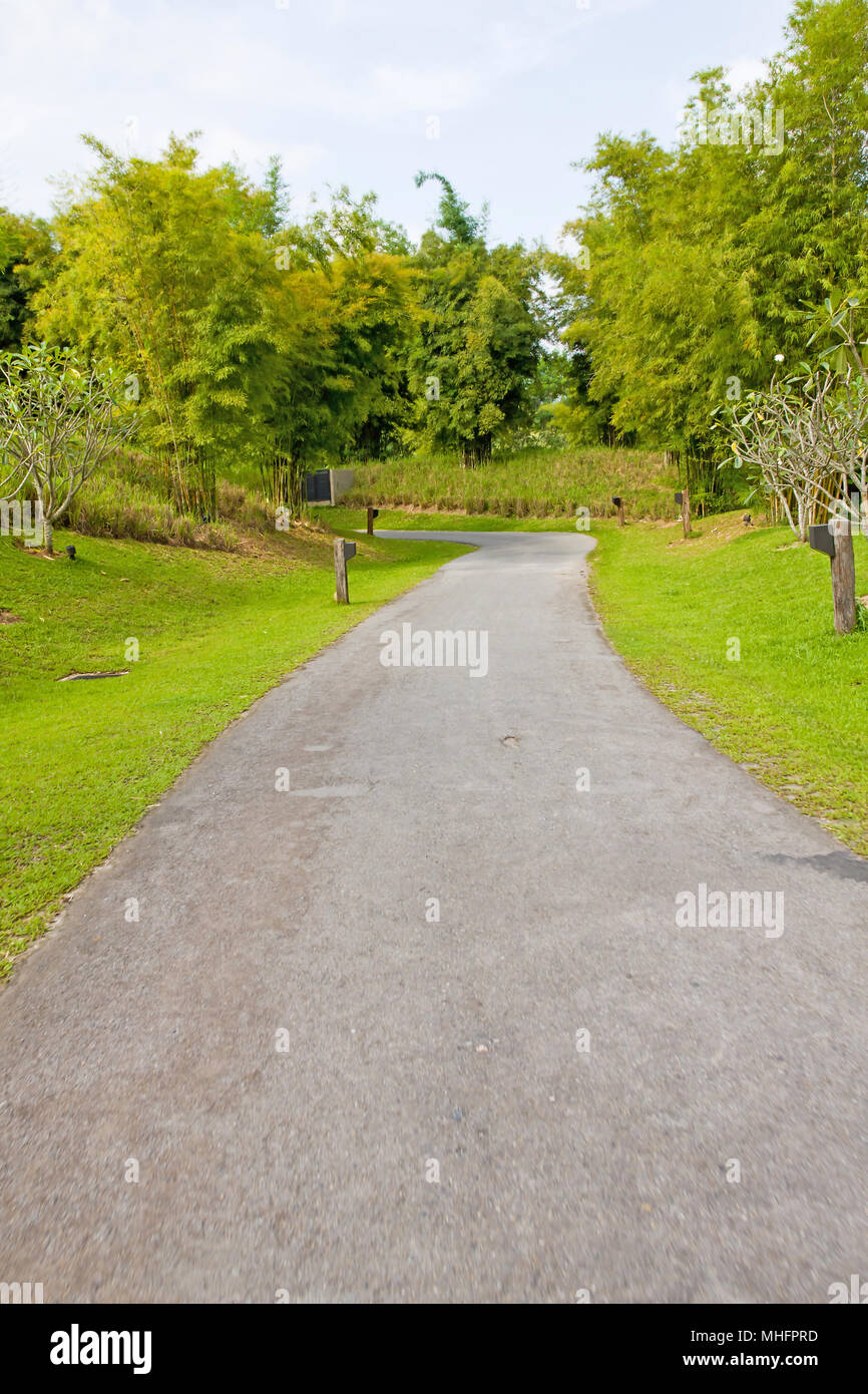 asphalt winding curve road in nature Stock Photo - Alamy