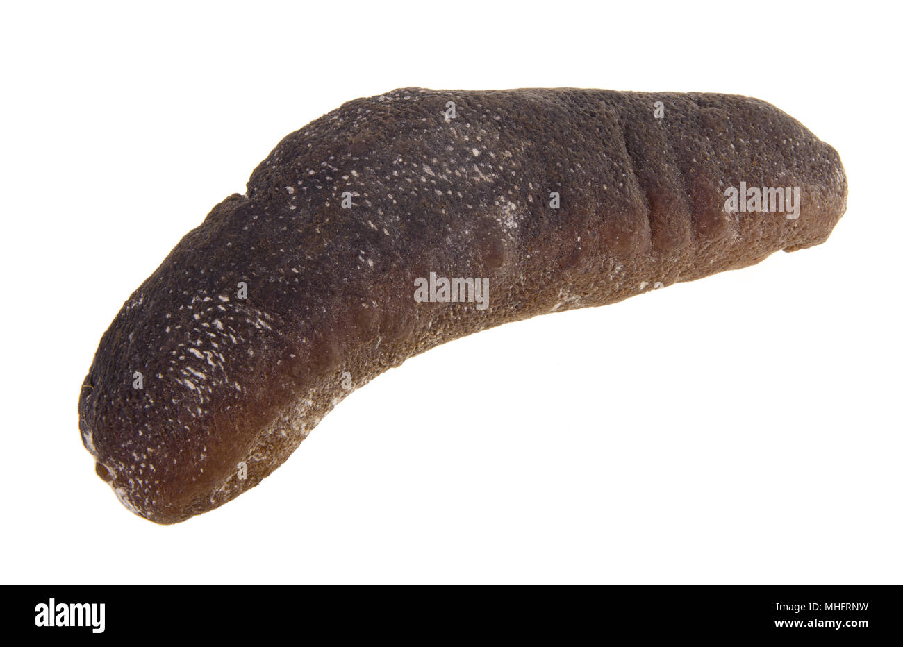 sea cucumber. close up of dried sea cucumber Stock Photo - Alamy