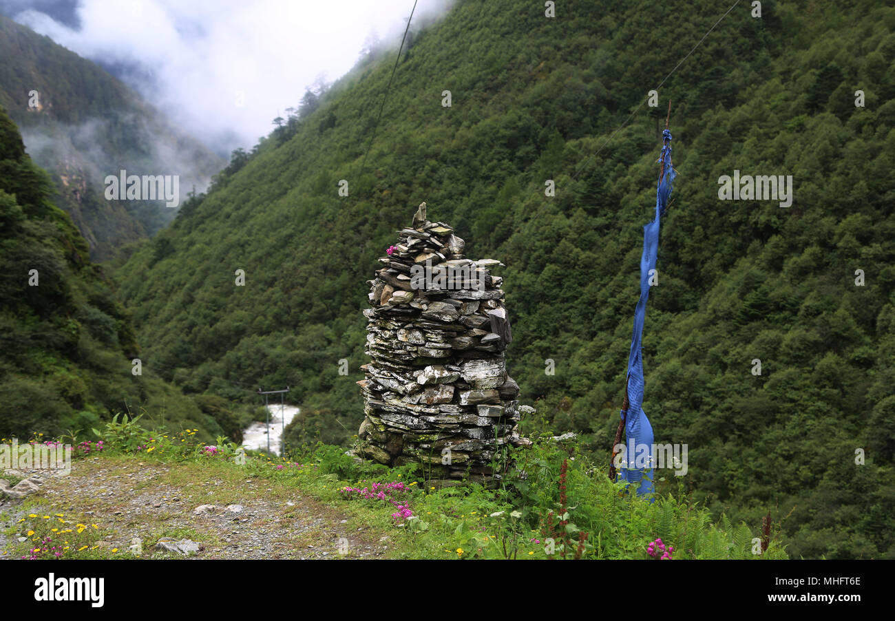 pink flower grown in high altitude Stock Photo - Alamy