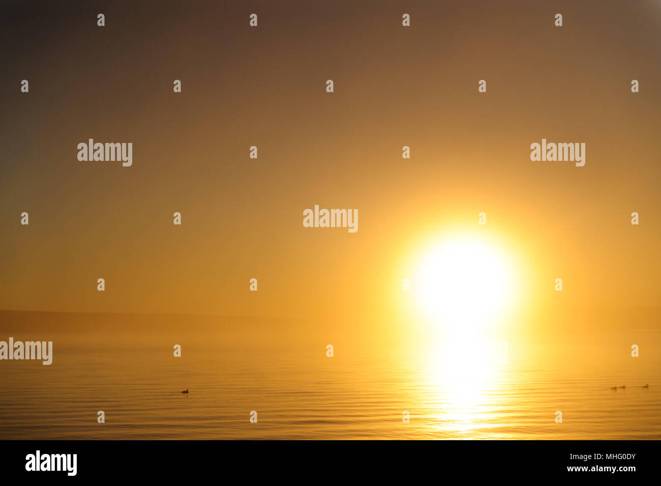 Sunrise over lake yellowstone on an early morming near the West Thumb ...