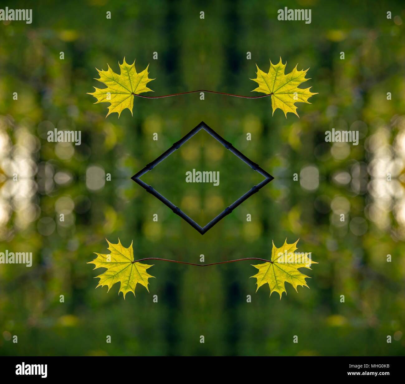 Backlight and light hi-res stock photography and images - Alamy