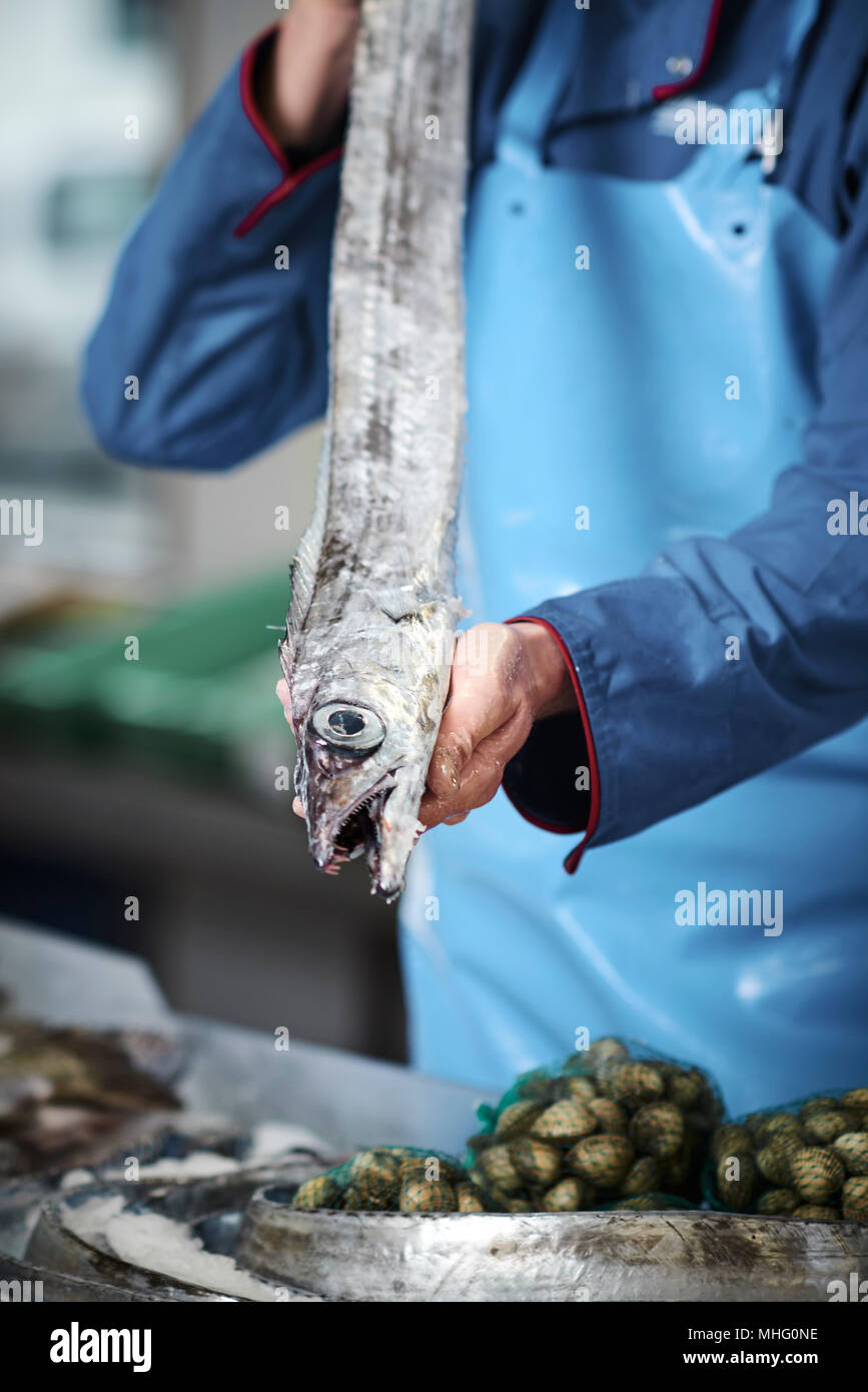 Fish cut pieces hi-res stock photography and images - Alamy