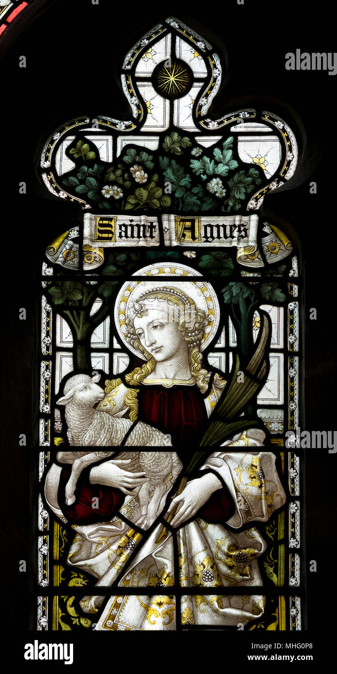 Saint Agnes stained glass, St. Matthew`s Church, Coates ...