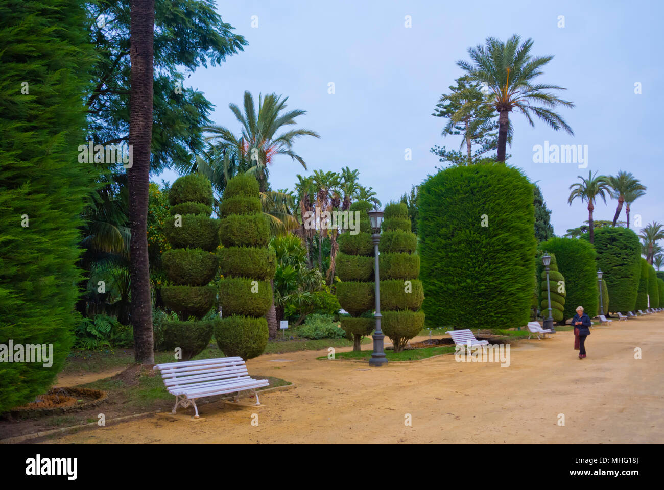 Park Genoves Cadiz High Resolution Stock Photography and Images - Alamy
