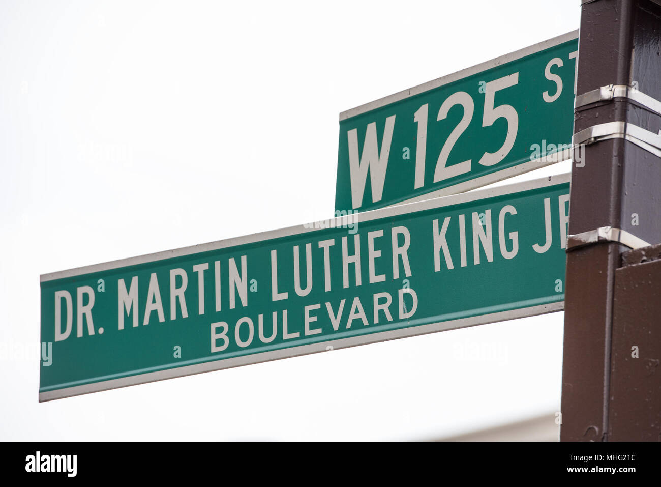 Apple martin hi-res stock photography and images - Alamy