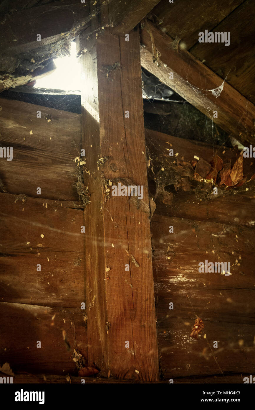 Rotten roof hi-res stock photography and images - Alamy