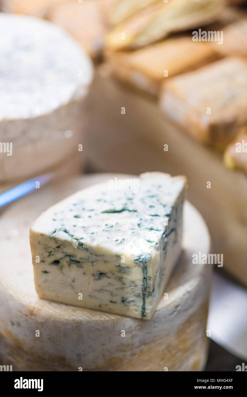 selection of various delicious cheese in the display of a cheesemonger ...