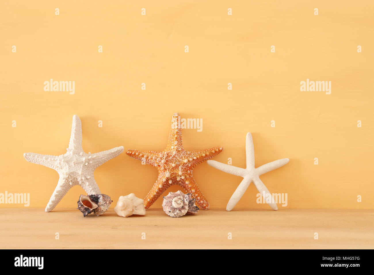 nautical, vacation and travel image with sea life style objects over ...