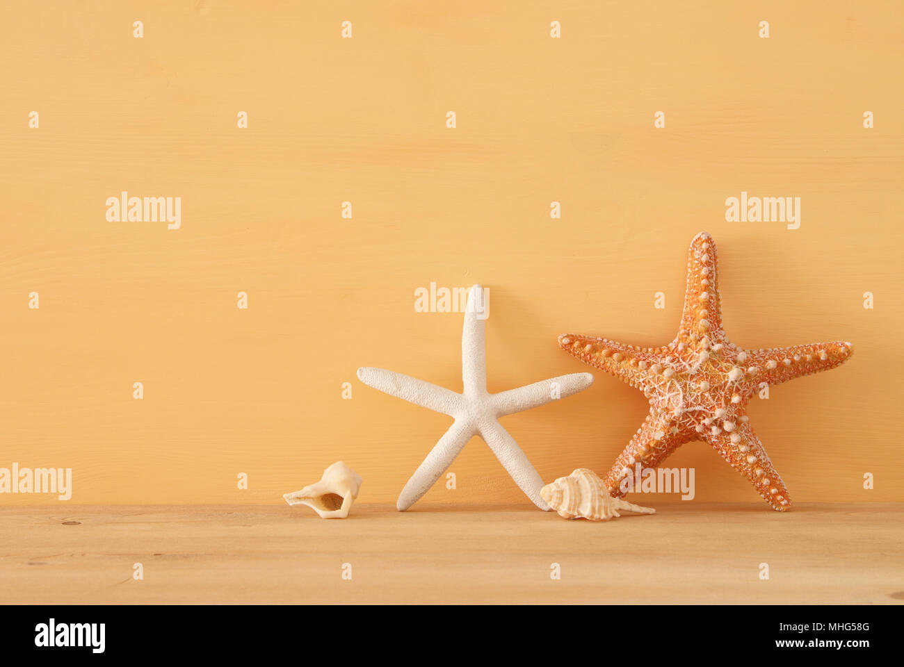 nautical, vacation and travel image with sea life style objects over ...