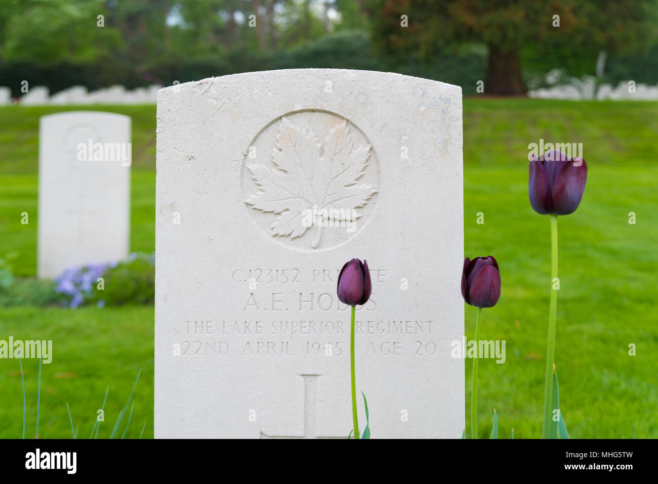HOLTEN, NETHERLANDS - APRIL 29, 2018: Well maintained graves of fallen ...