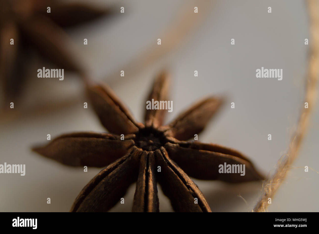anise tree seeds as spices on a white background Stock Photo - Alamy
