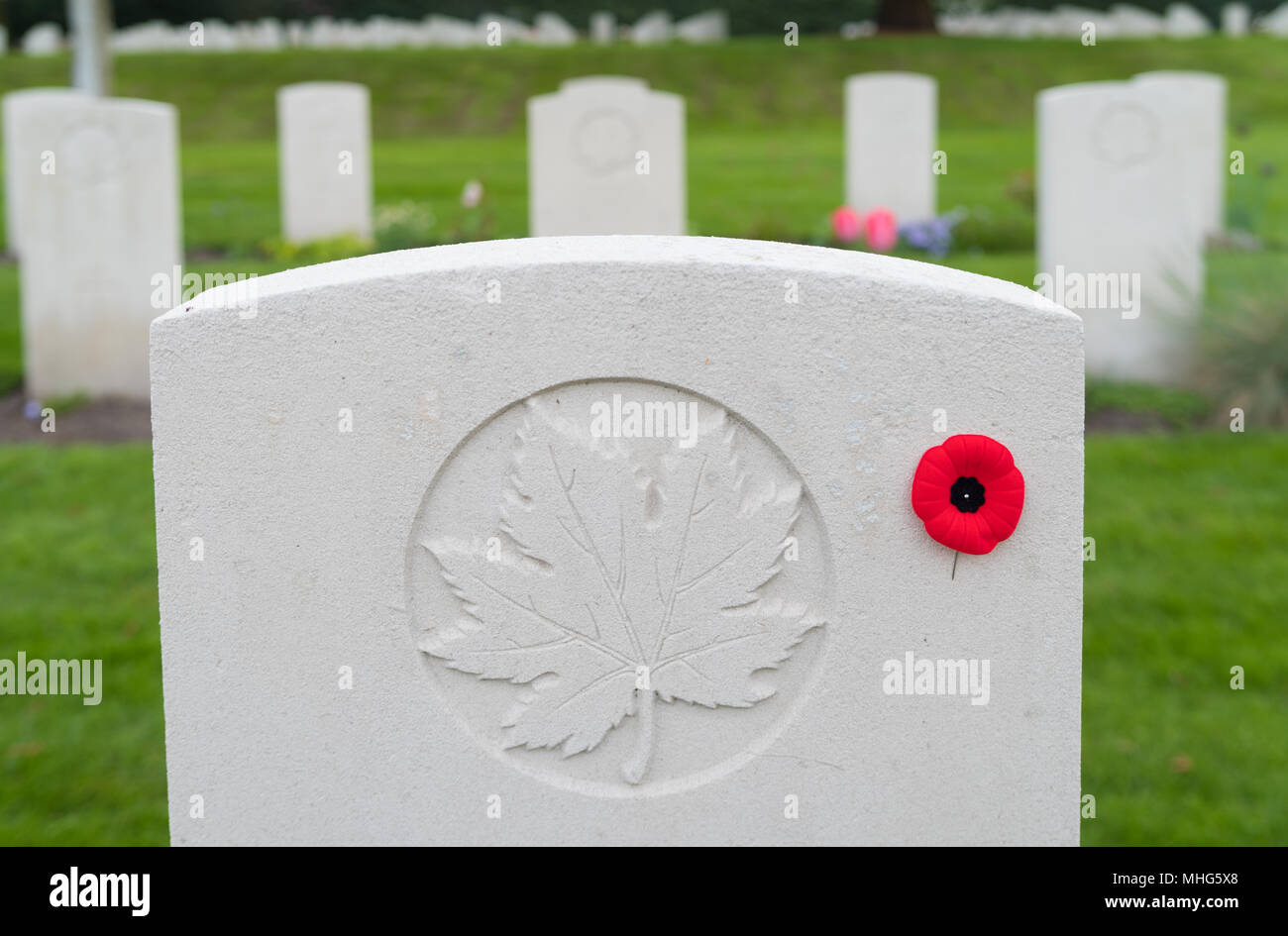 HOLTEN, NETHERLANDS - APRIL 29, 2018: Well maintained graves of fallen ...