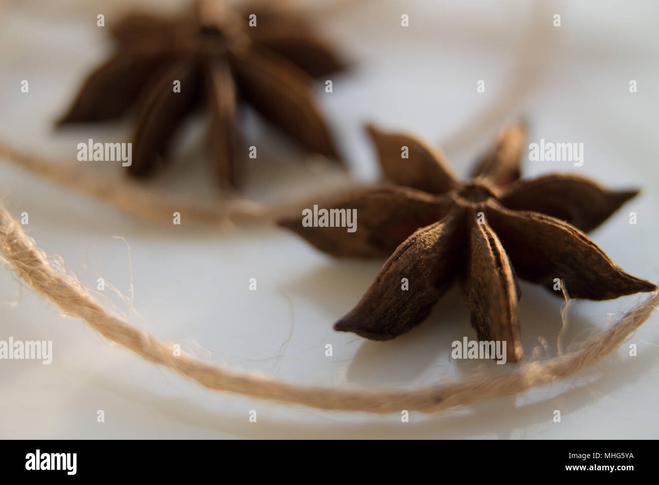 anise tree seeds as spices on a white background Stock Photo - Alamy