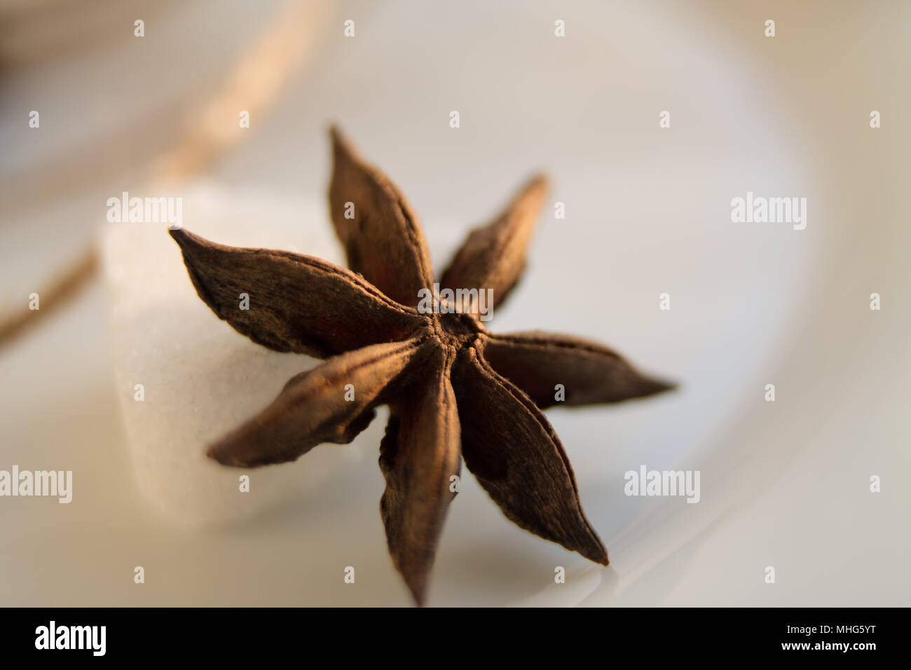 anise tree seeds as spices on a white background Stock Photo - Alamy