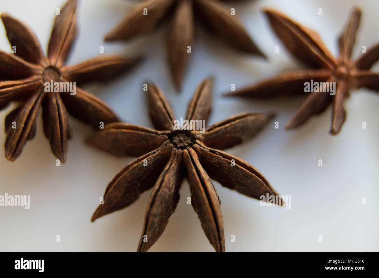 anise tree seeds as spices on a white background Stock Photo - Alamy