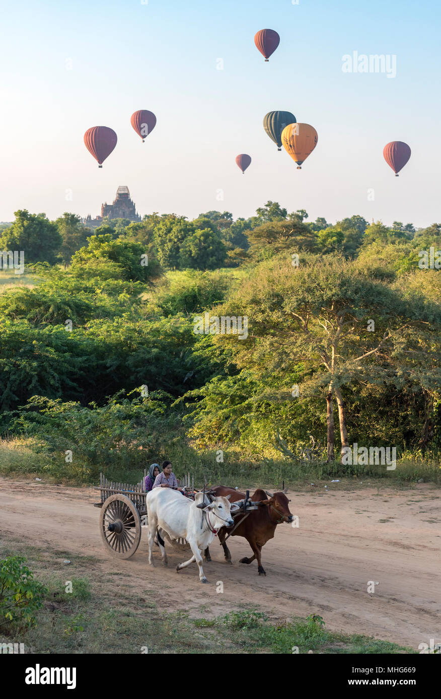 Bagan bullock cart hi-res stock photography and images - Alamy