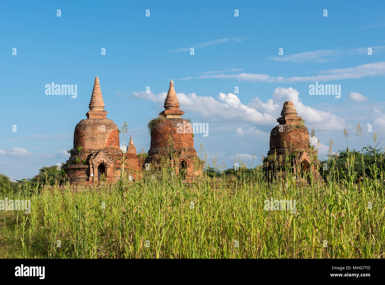 Min nan thu hi-res stock photography and images - Alamy
