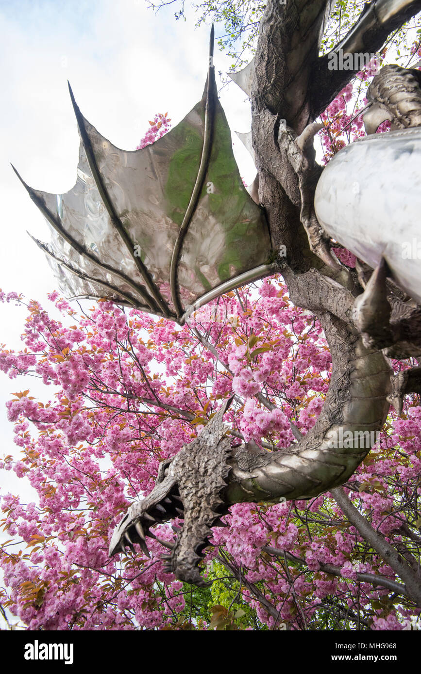 A Metal Dragon Sculpture against a backdrop of spring blossom in ...