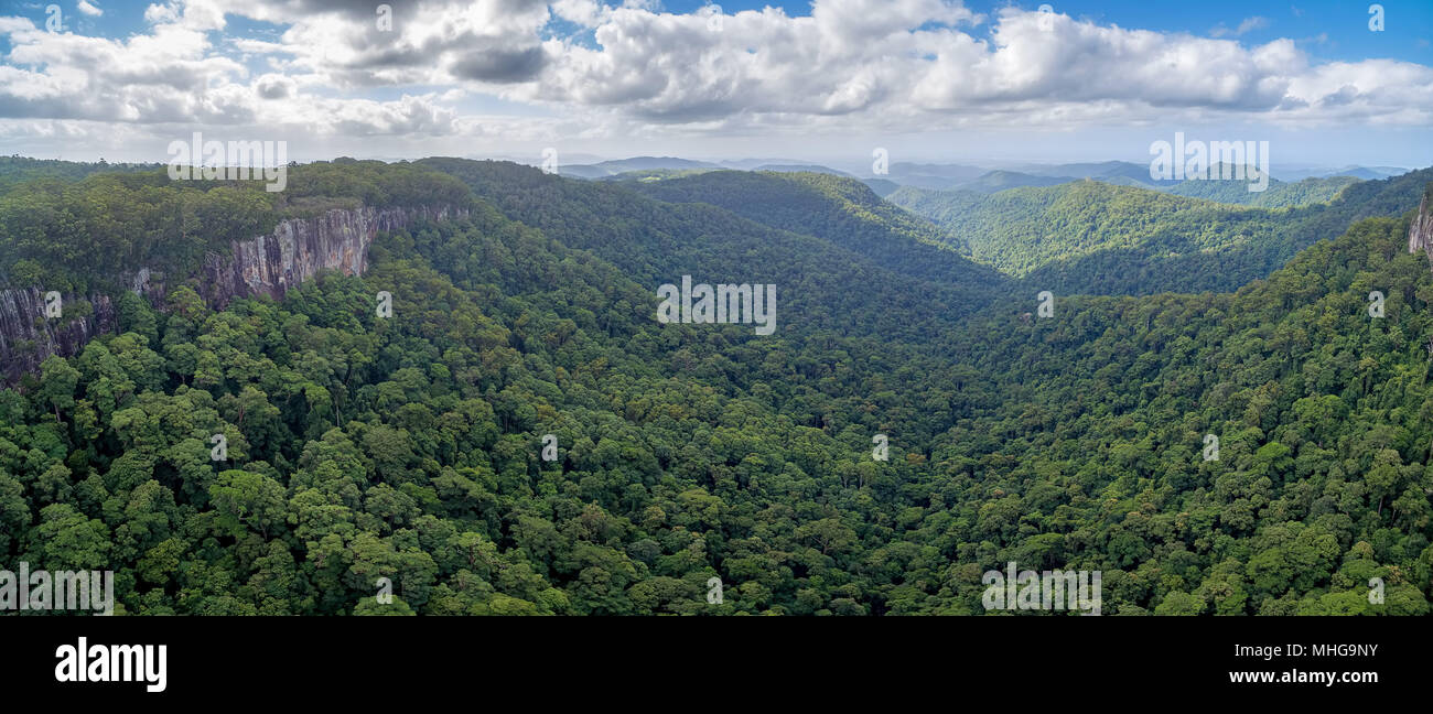 Springbrook lookout queensland hi-res stock photography and images - Alamy