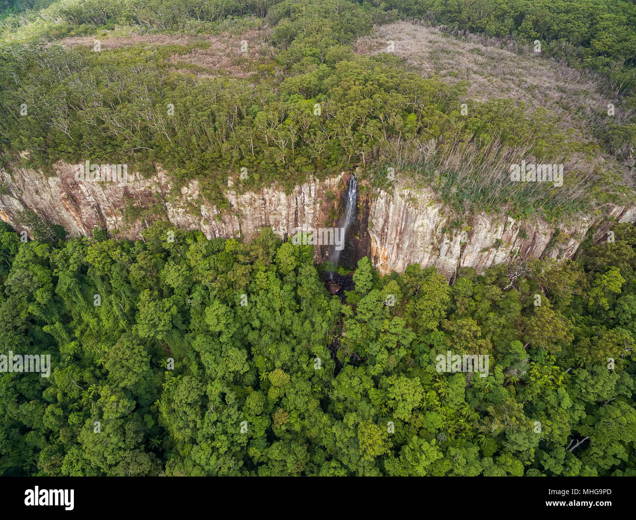 Aerial landscape of Rainbow Falls in Springbrook national park, QLD ...
