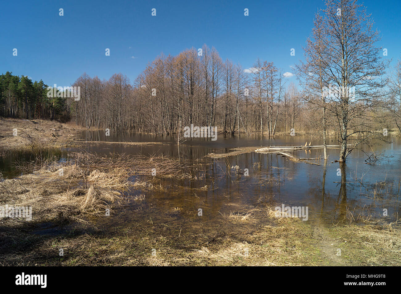 Spring landscape with flood in rural terrain on background blue sky ...