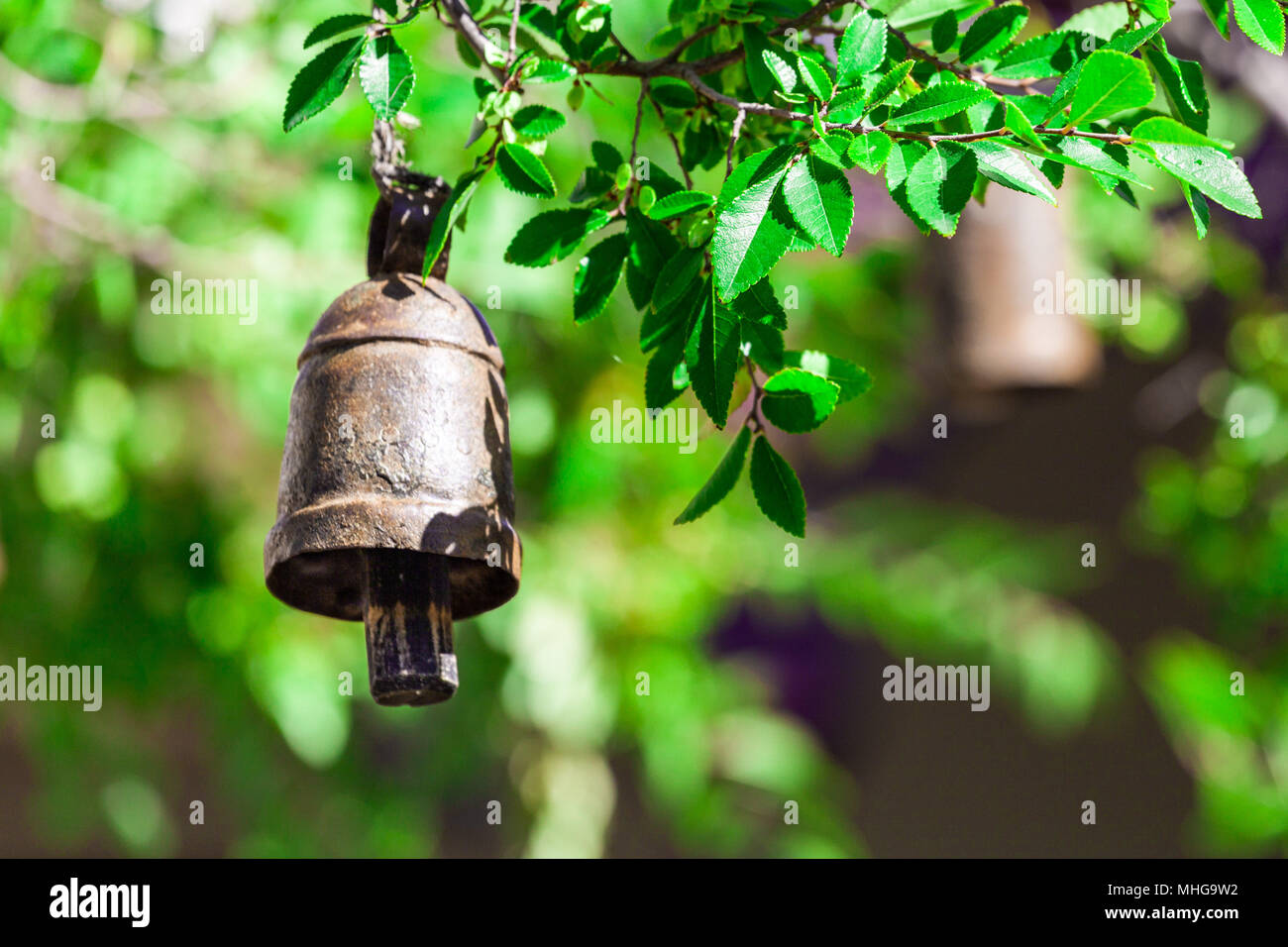 Bell tree instrument hi-res stock photography and images - Alamy