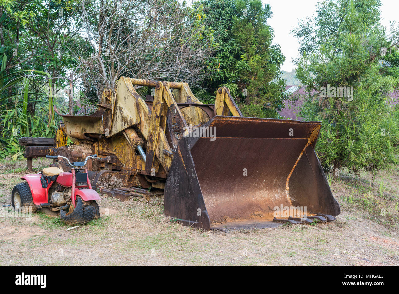 Old and rusty unworkable construction machine vehicle with old tree ...
