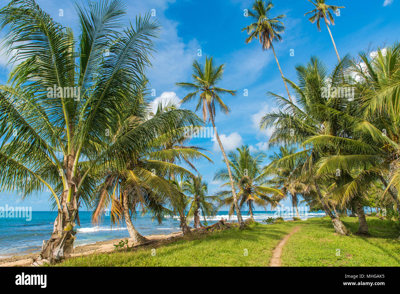 Playa Cocles - beautiful tropical beach close to Puerto Viejo - Costa ...