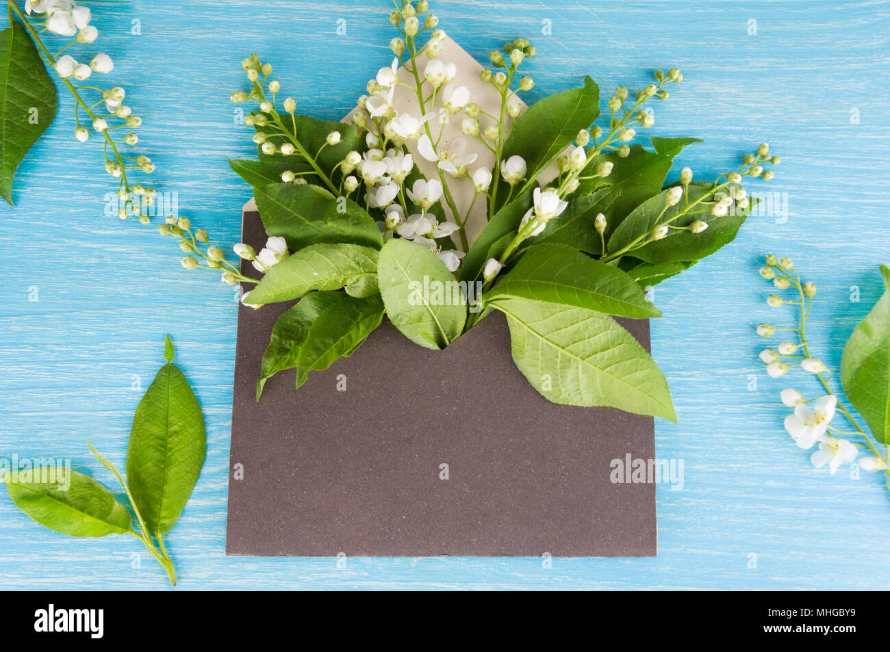 Colorful spring flowers in envelope, flower delivery concept Stock ...