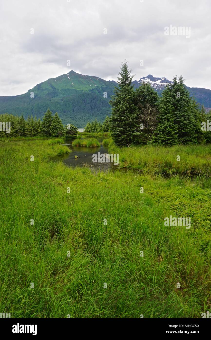 Juneau, Alaska, USA: Marshland and mountains by Mendenhall Lake, near ...