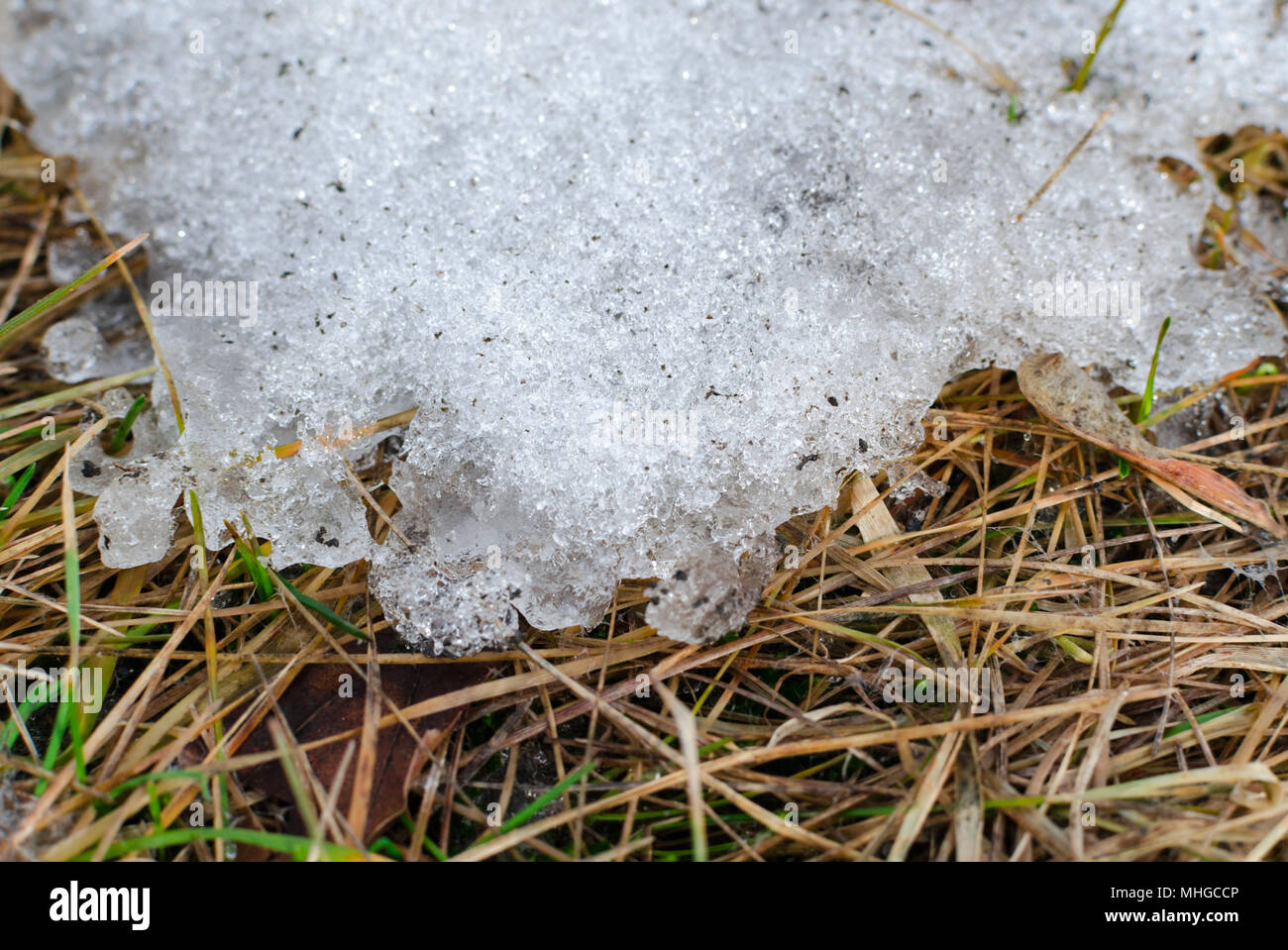 Dead grass background hi-res stock photography and images - Alamy