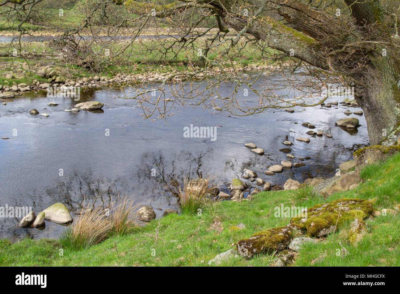 The River South Tyne during quiet Spring weather Stock Photo - Alamy