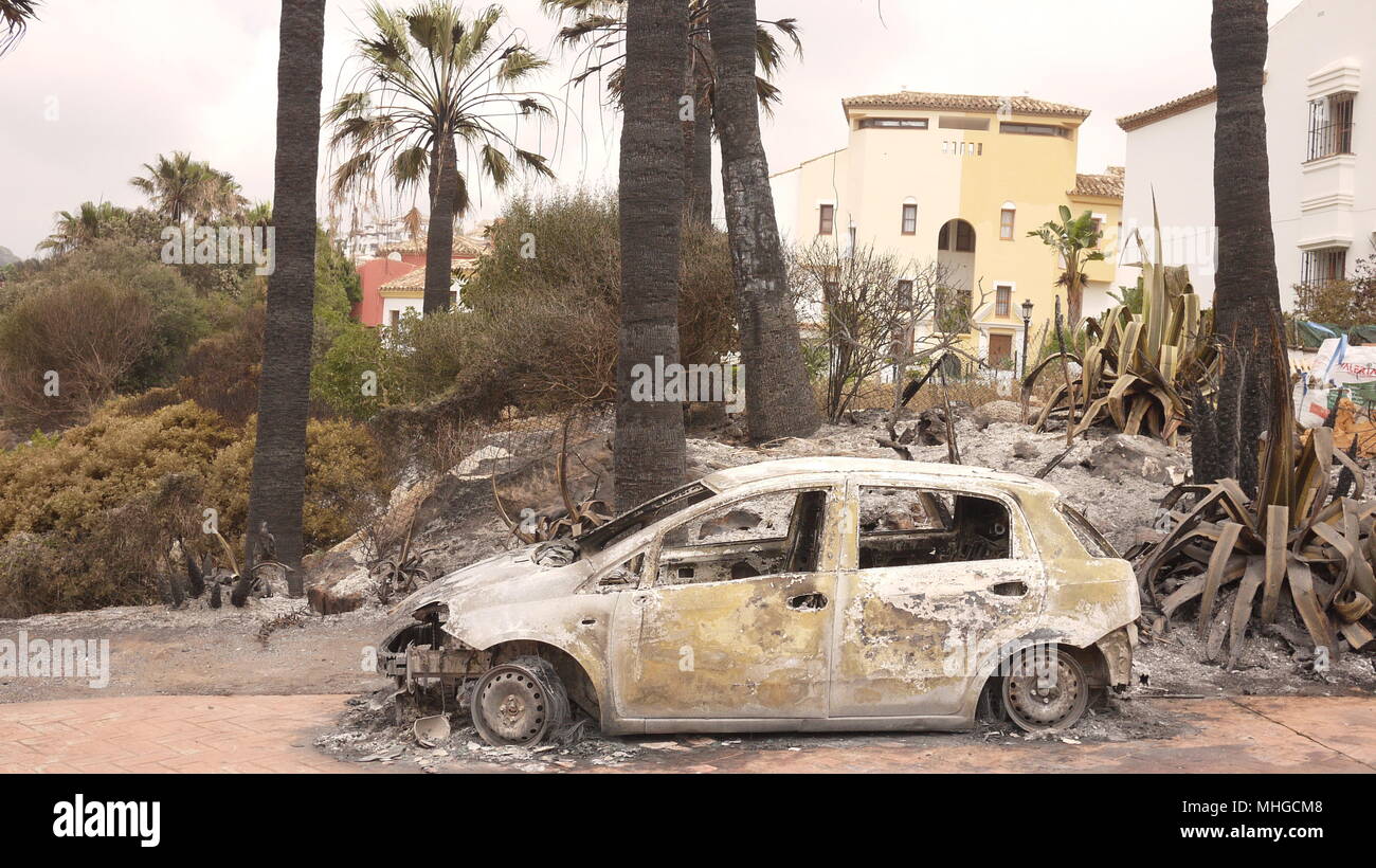 Burnt out forest hi-res stock photography and images - Alamy