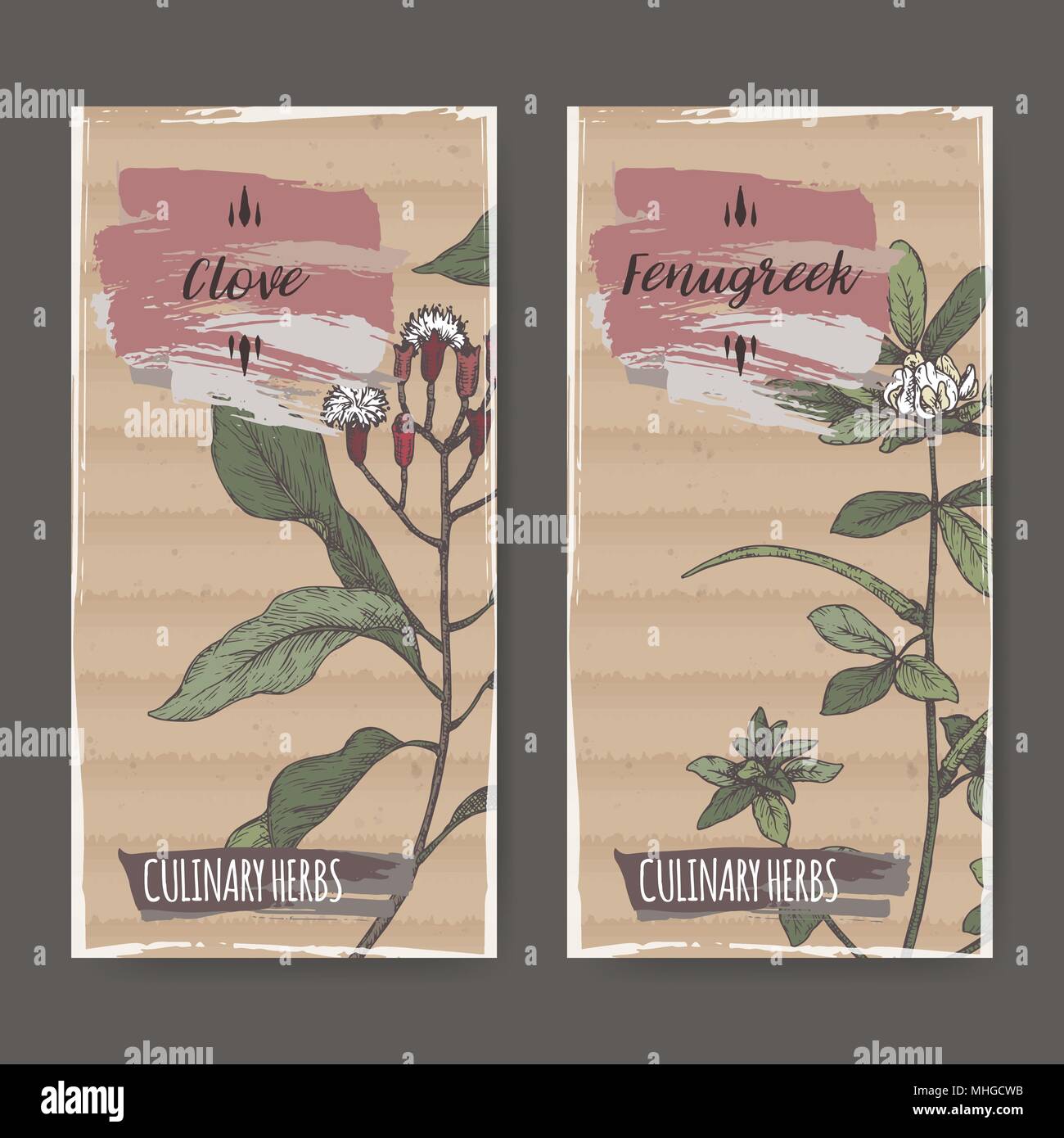 Set of two labels with clove and fenugreek hand drawn color sketch ...