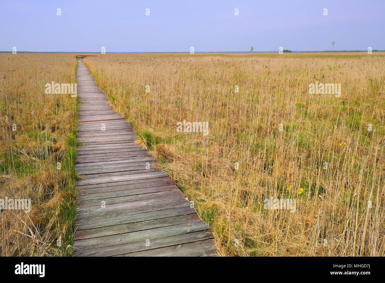 Wetlands observation platform hi-res stock photography and images - Alamy